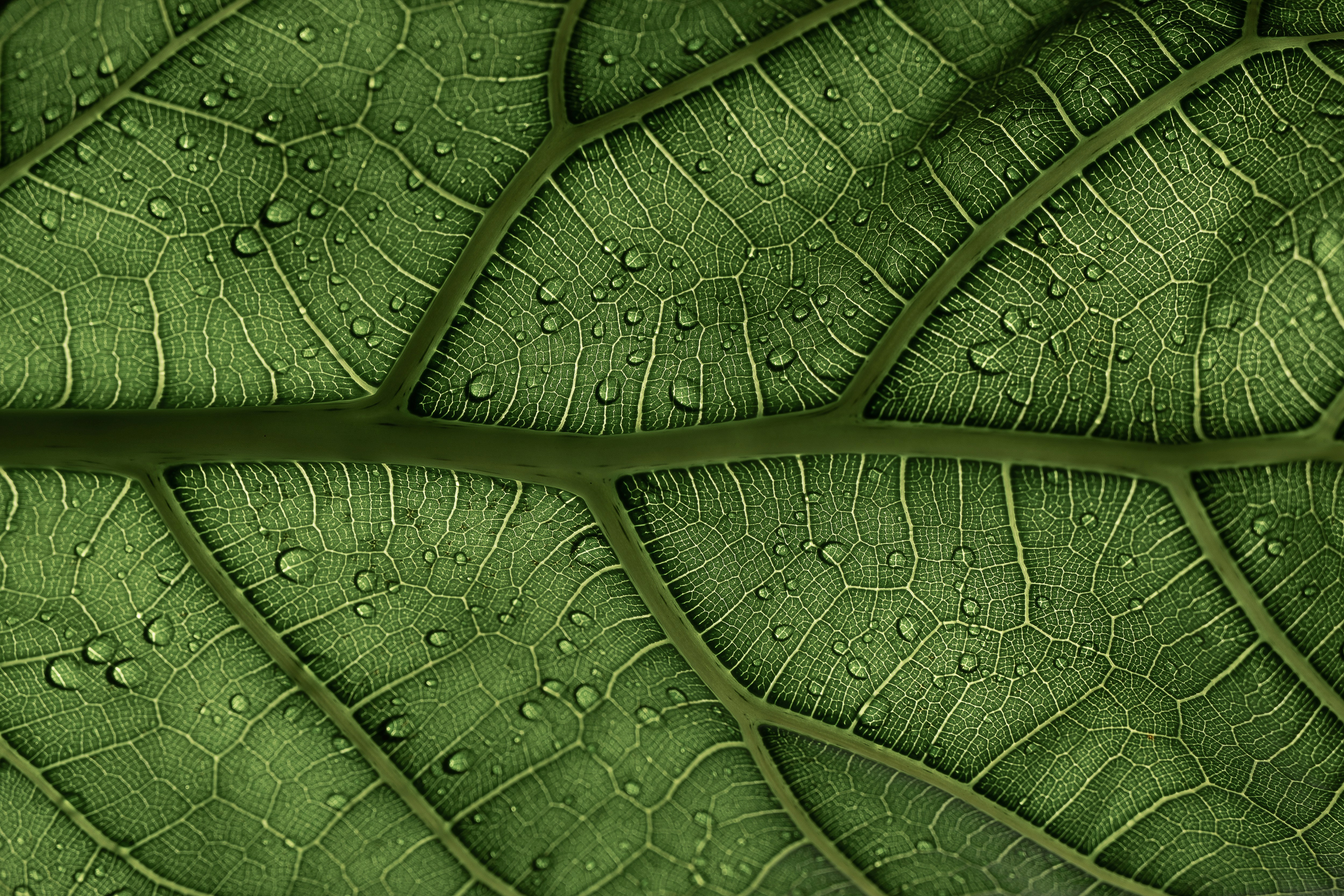 Green / clean tech - INNO, rethinking business network